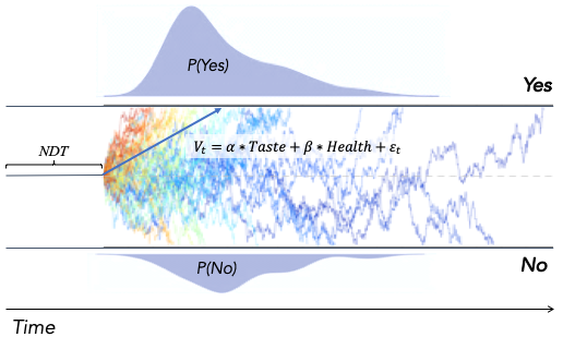 DDM: An Introduction